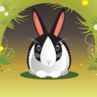 The Sphinxing Rabbit